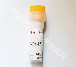 PCVD442_中国微生物菌种_质粒载体_微生物菌种查询网-ATCC,菌种,质粒,细胞系