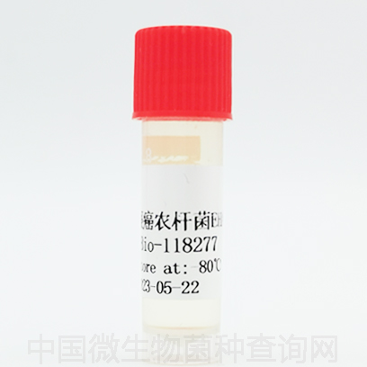 根癌农杆菌EHA101_中国微生物菌种_国内微生物菌种资源_微生物菌种查询网-ATCC,菌种,质粒,细胞系
