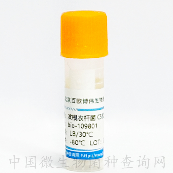 发根农杆菌 C58C1_中国微生物菌种_国内微生物菌种资源_微生物菌种查询网-ATCC,菌种,质粒,细胞系